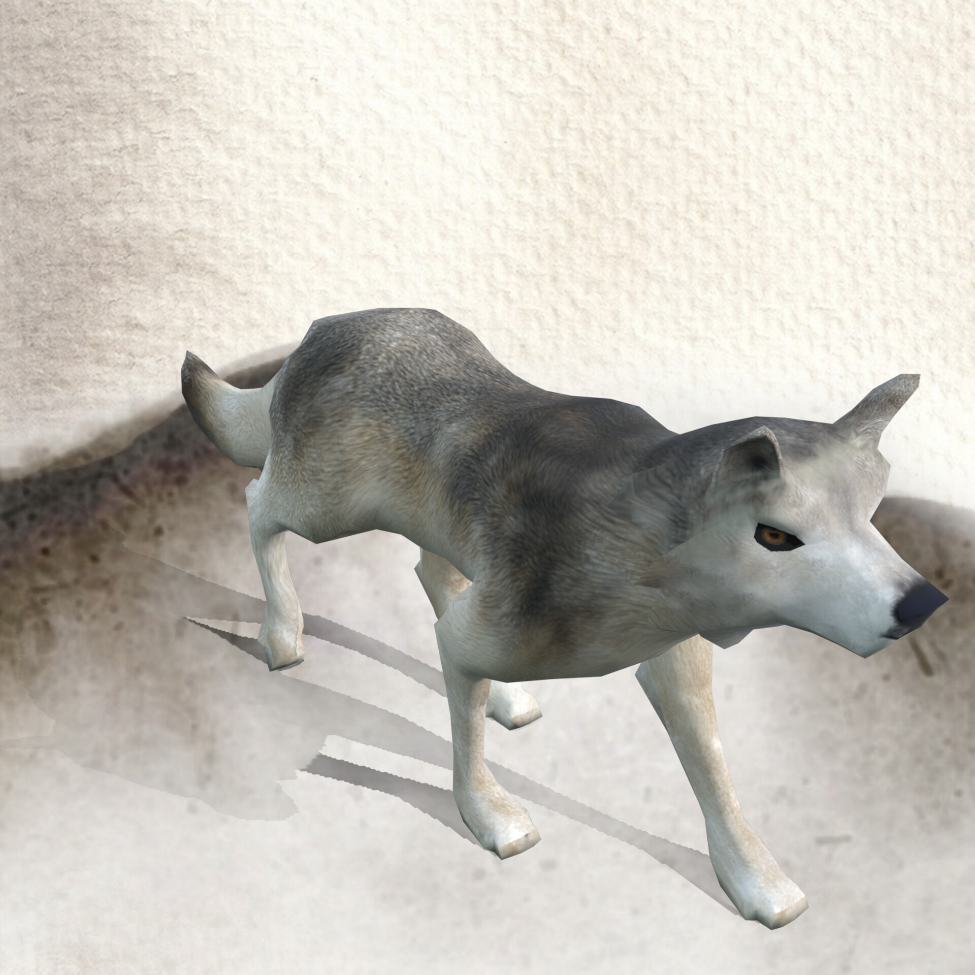 ArtStation - 3D Animal Model - Wolf