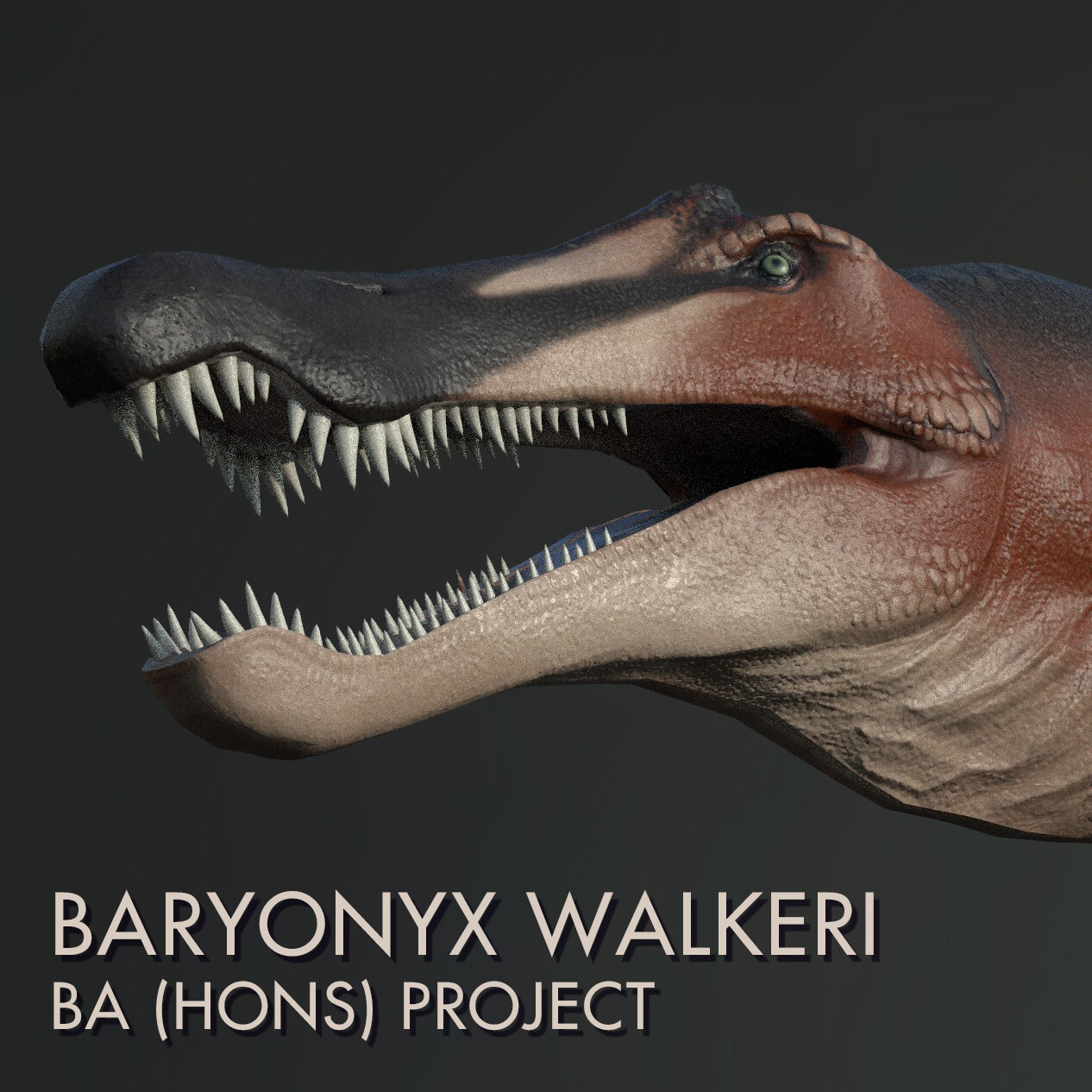 Calyx AB - Baryonyx Walkeri - Final Project