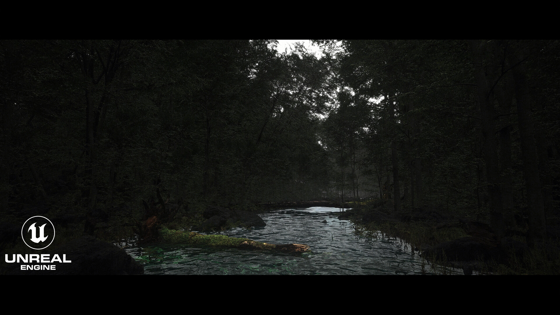 ArtStation - Rain Forest | Unreal Engine 5