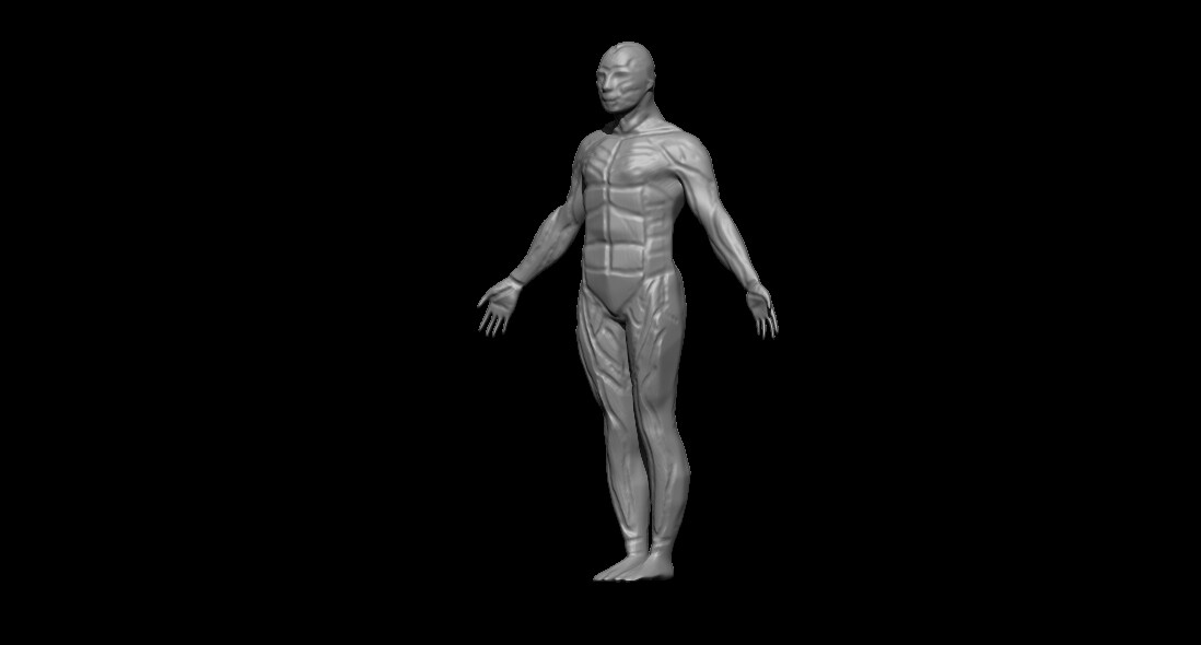 ArtStation - 3D Models for Muscles