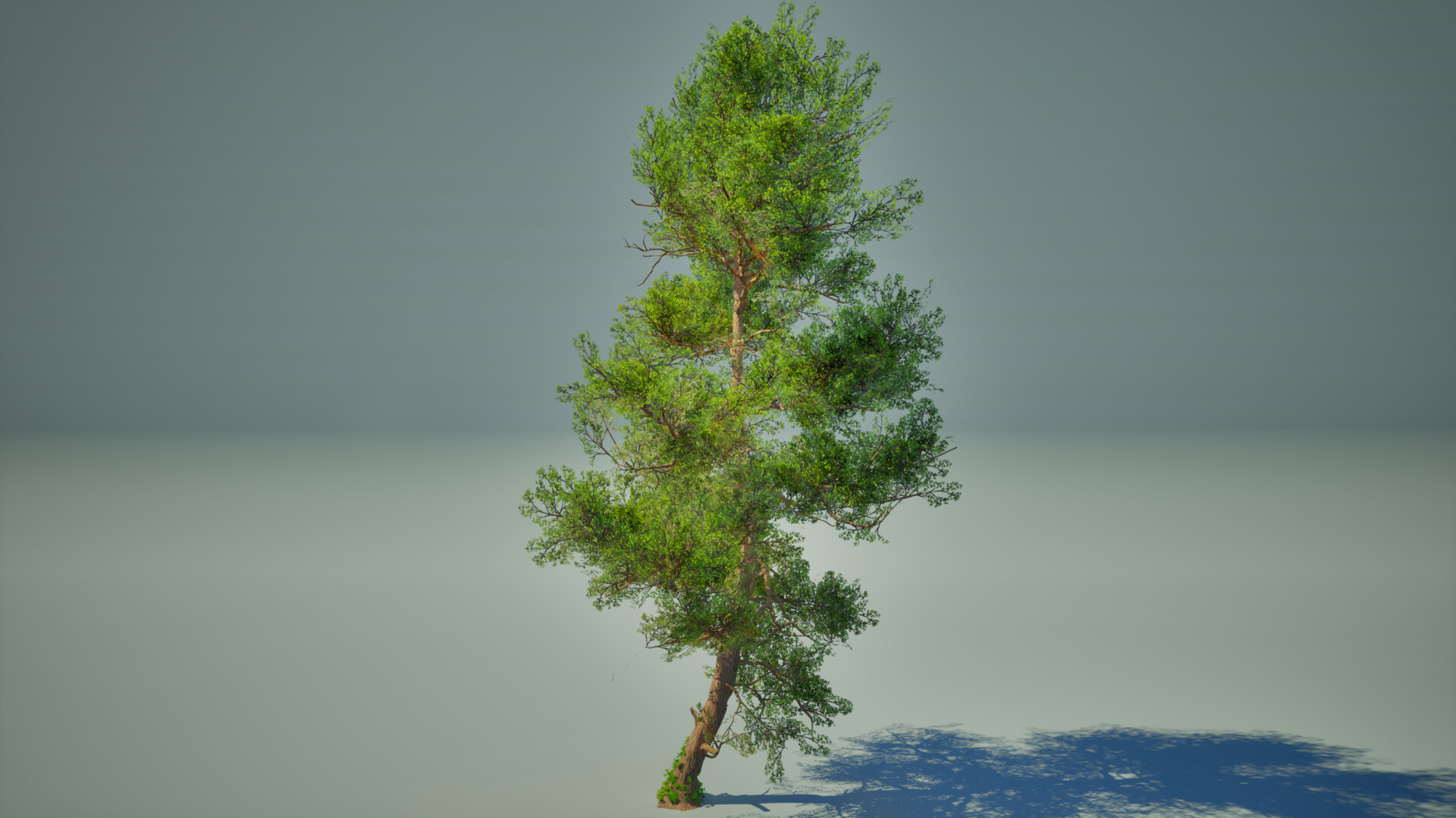 ArtStation - Tree - Game Ready 3D model