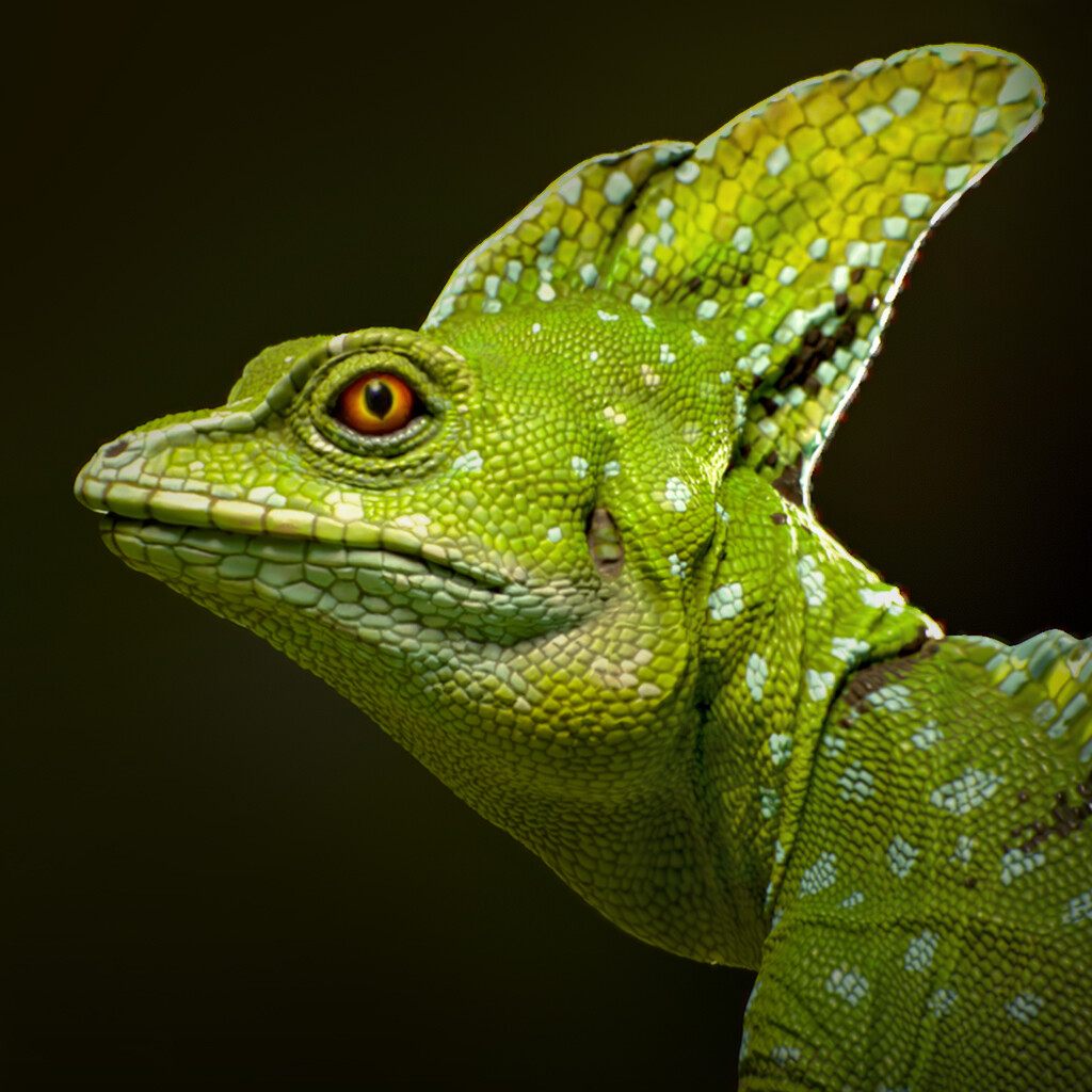 ArtStation - Green Basilisk Lizard