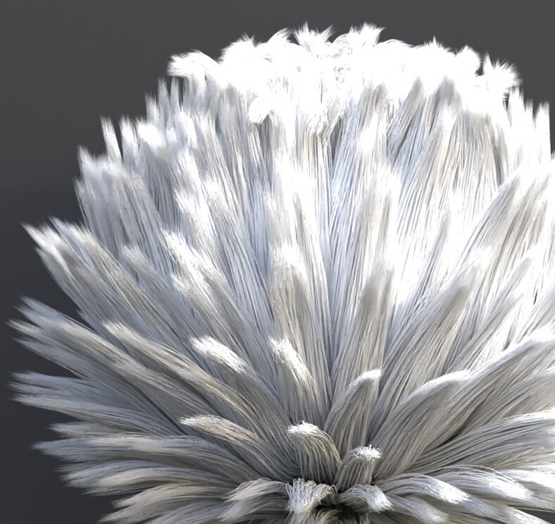 ArtStation - Hair Simulation Test