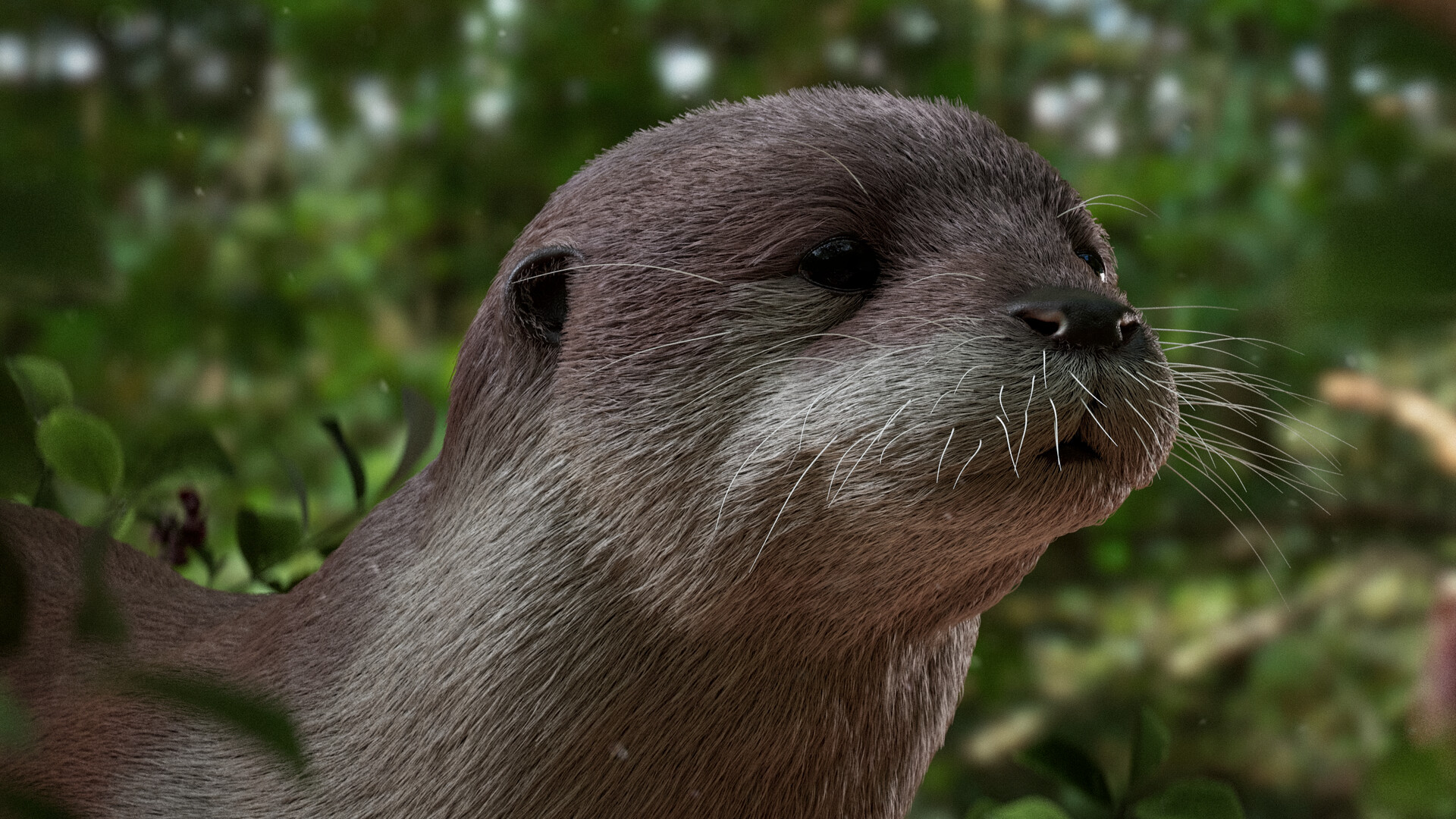 ArtStation - Otter Groom