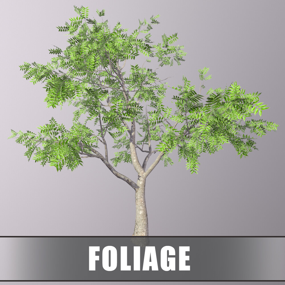 ArtStation - Foliage