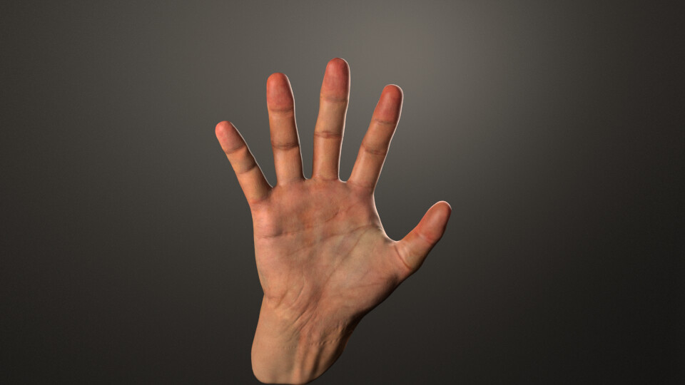 ArtStation - Human hand