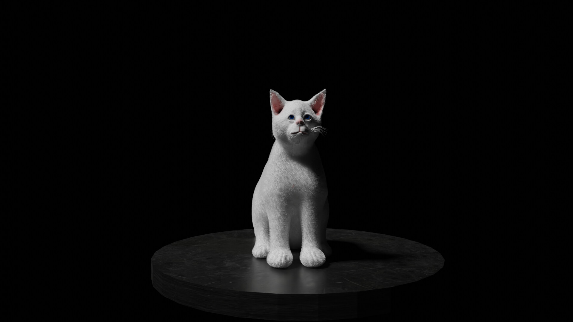 ArtStation - 3D Cat Character