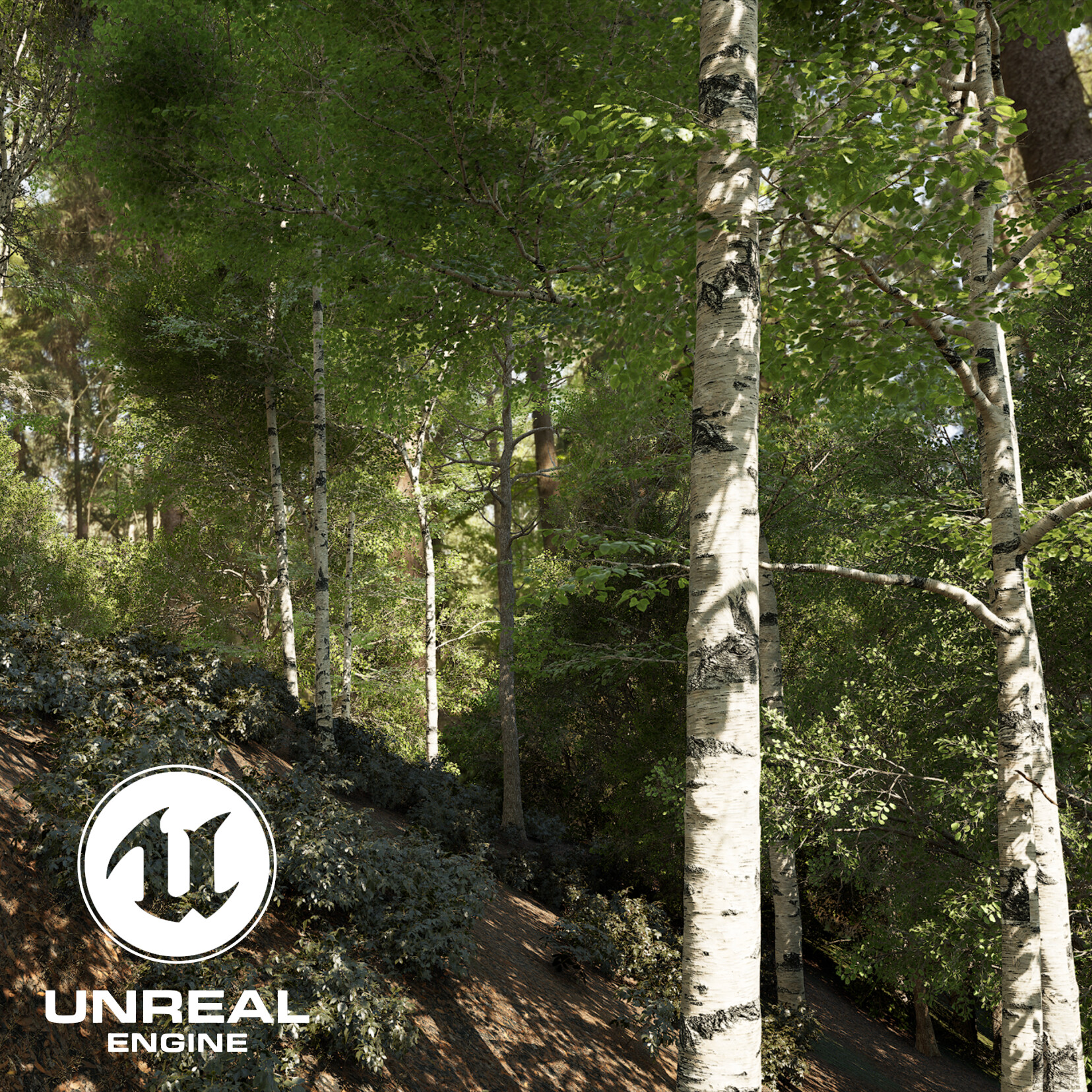 ArtStation - Birch Tree [UE5]