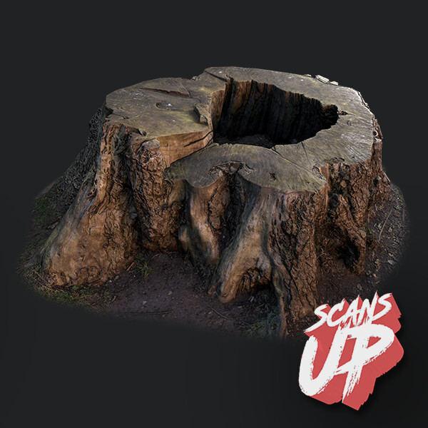 ArtStation - ScansUp: Stump 01 - Photogrammetry Asset