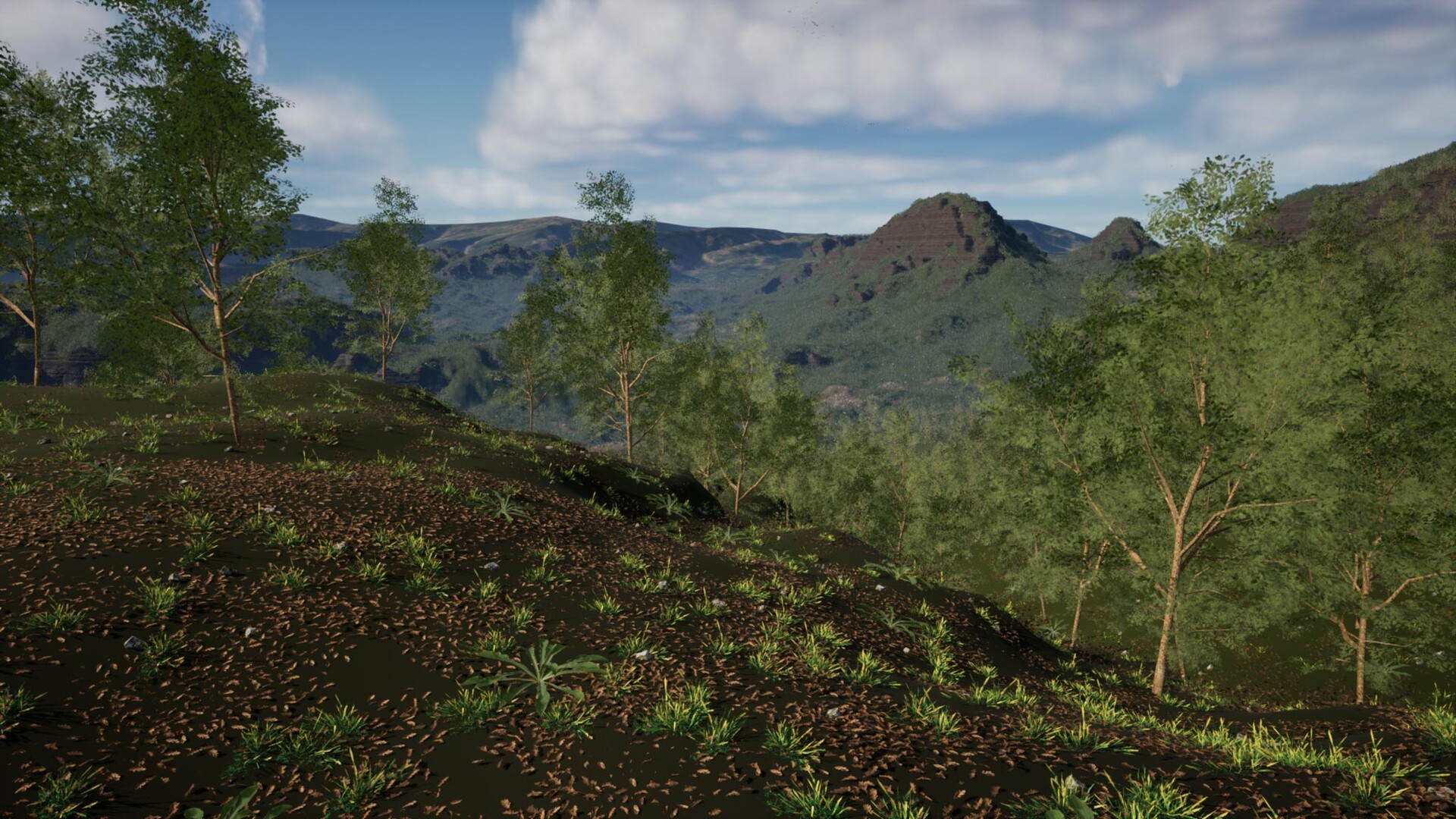ArtStation - Procedural Environment: Sierra Gorda
