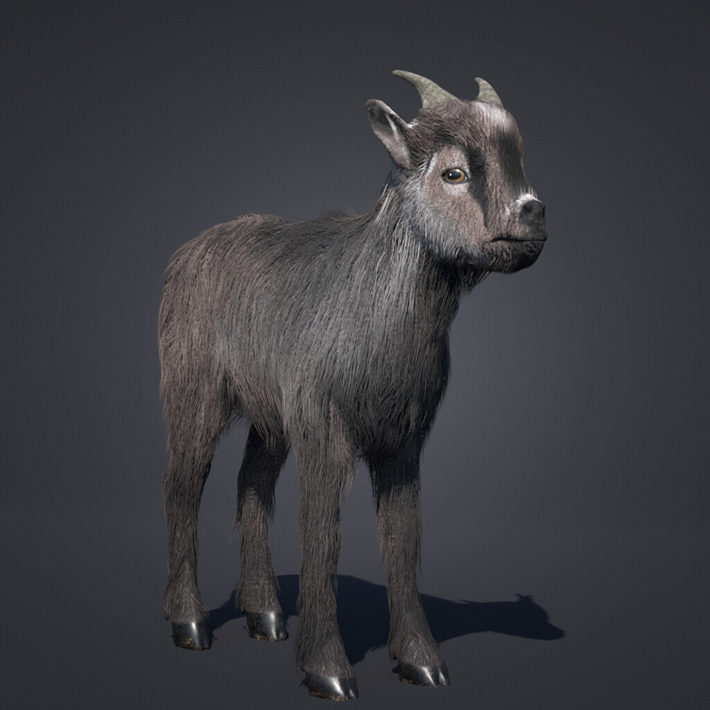 ArtStation - Goat