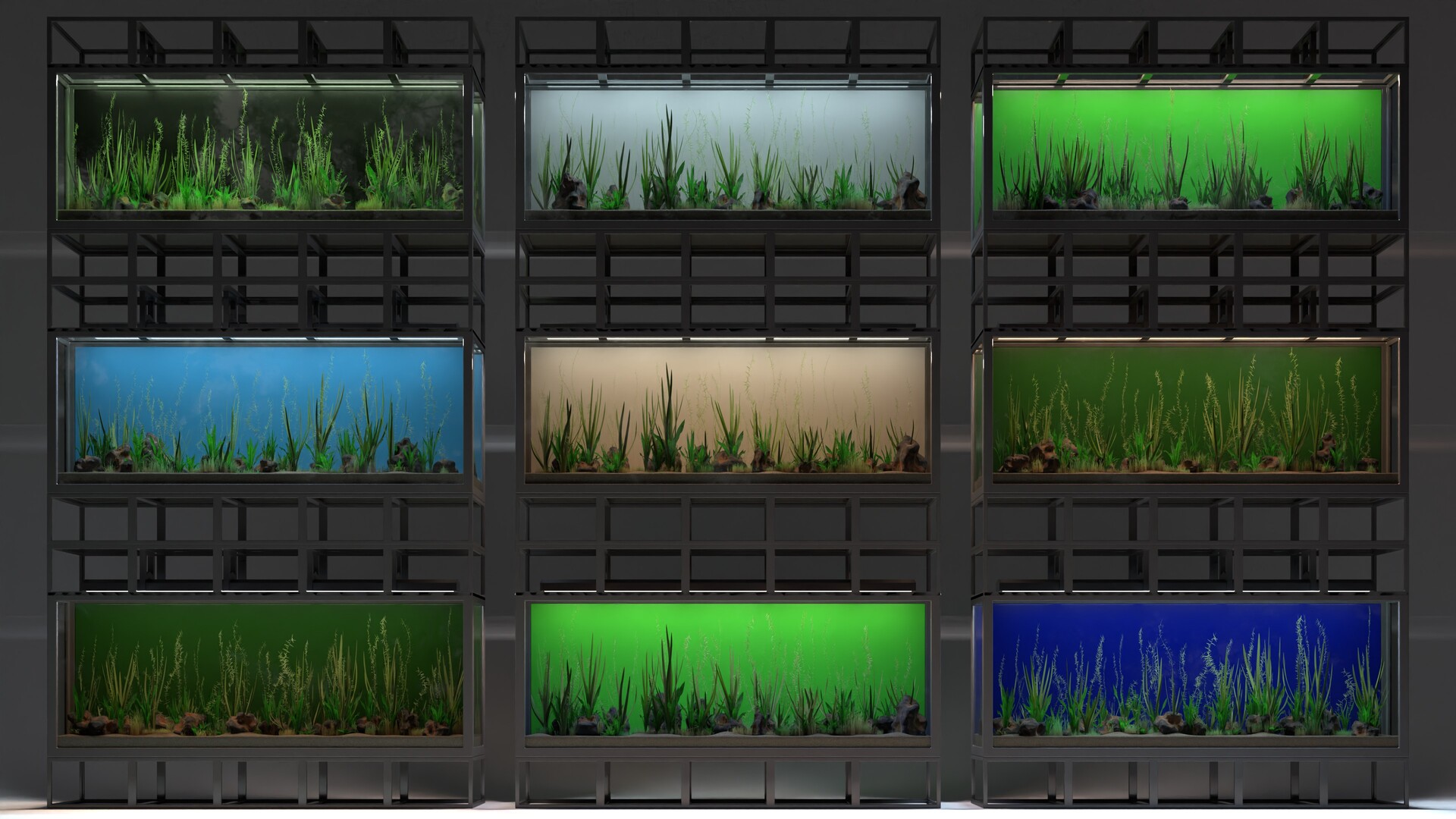 Luke Hayne - Procedural Aquariums (Work In Progress)