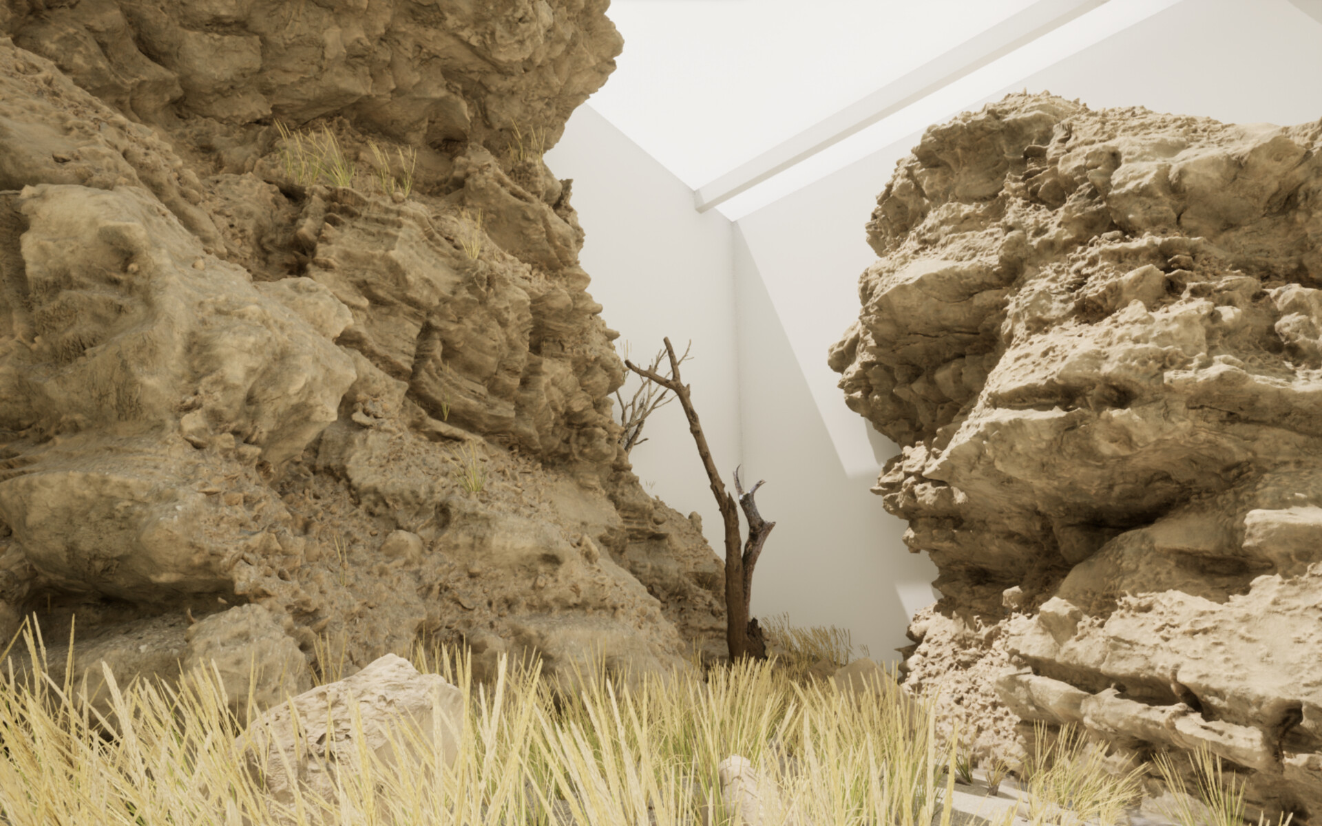 ArtStation - Procedural Nanite Cliffs