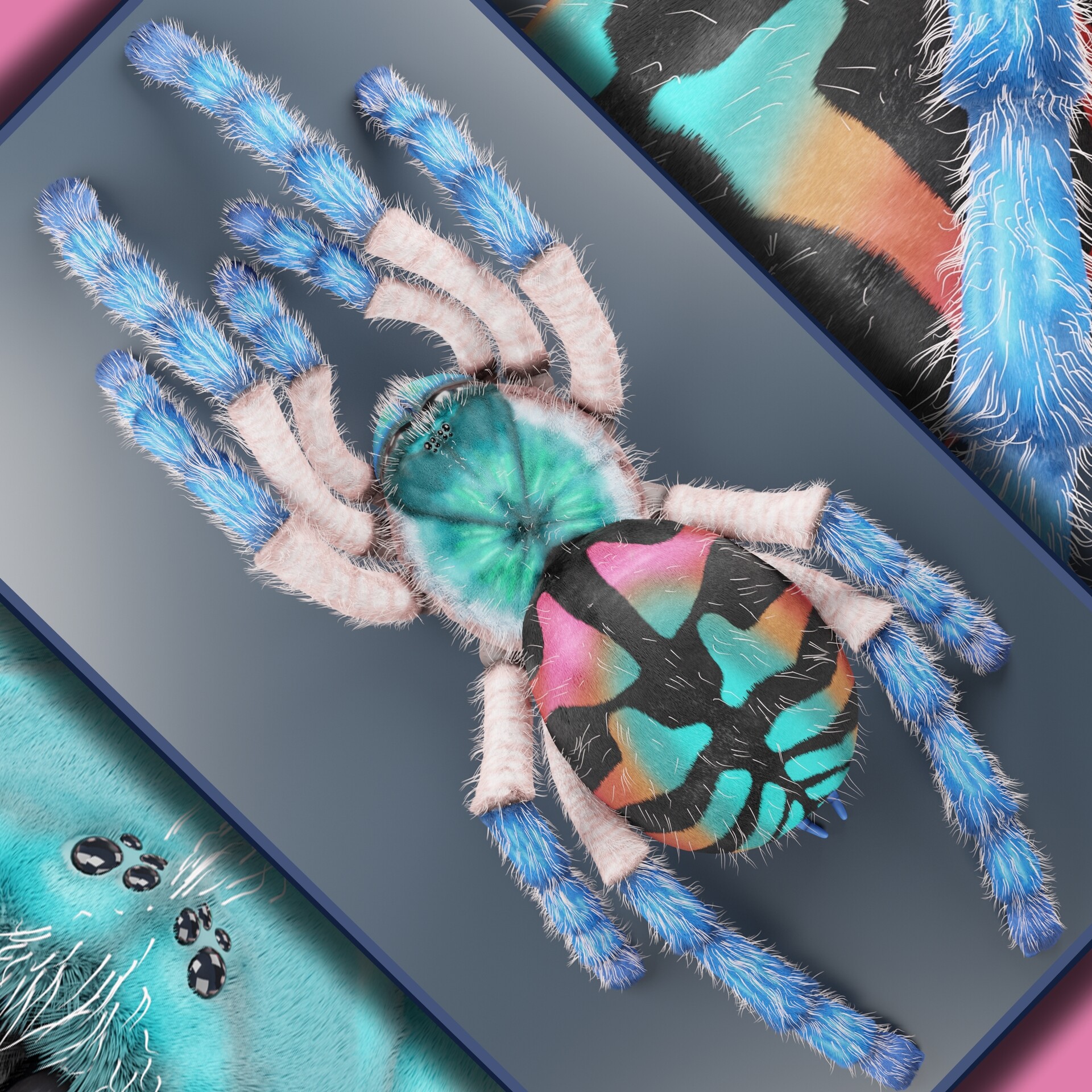 ArtStation - A Hairy Study - The Brazilian Jewel Tarantula