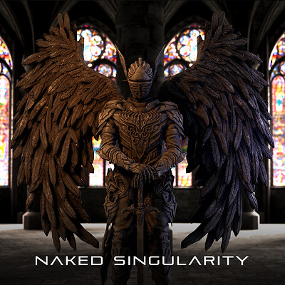 Naked Singularity Studio