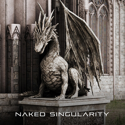 Naked Singularity Studio