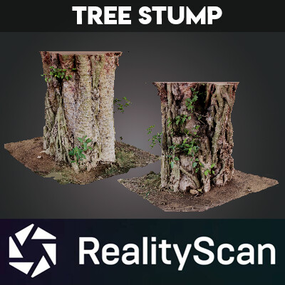 ArtStation - Tree Stump (Scanned)