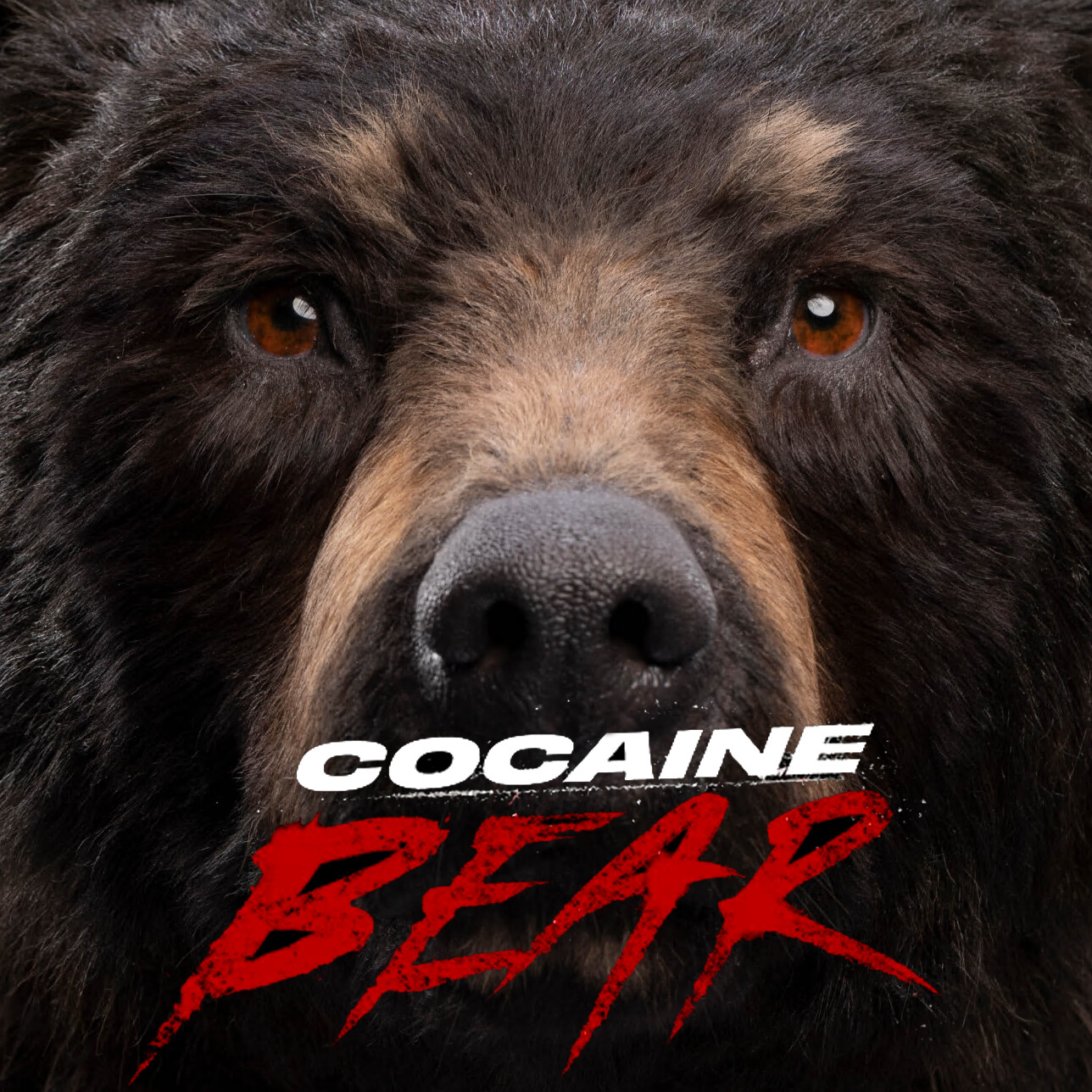 Fabio Paiva - Cocaine Bear