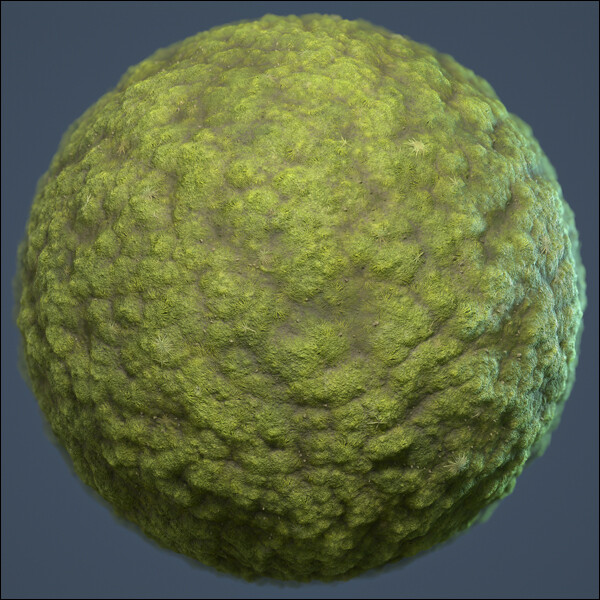 ArtStation - Procedural Generic Moss and Grass