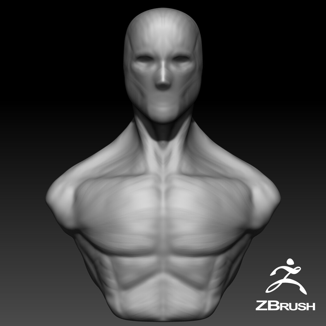 ArtStation - Male Upper Body