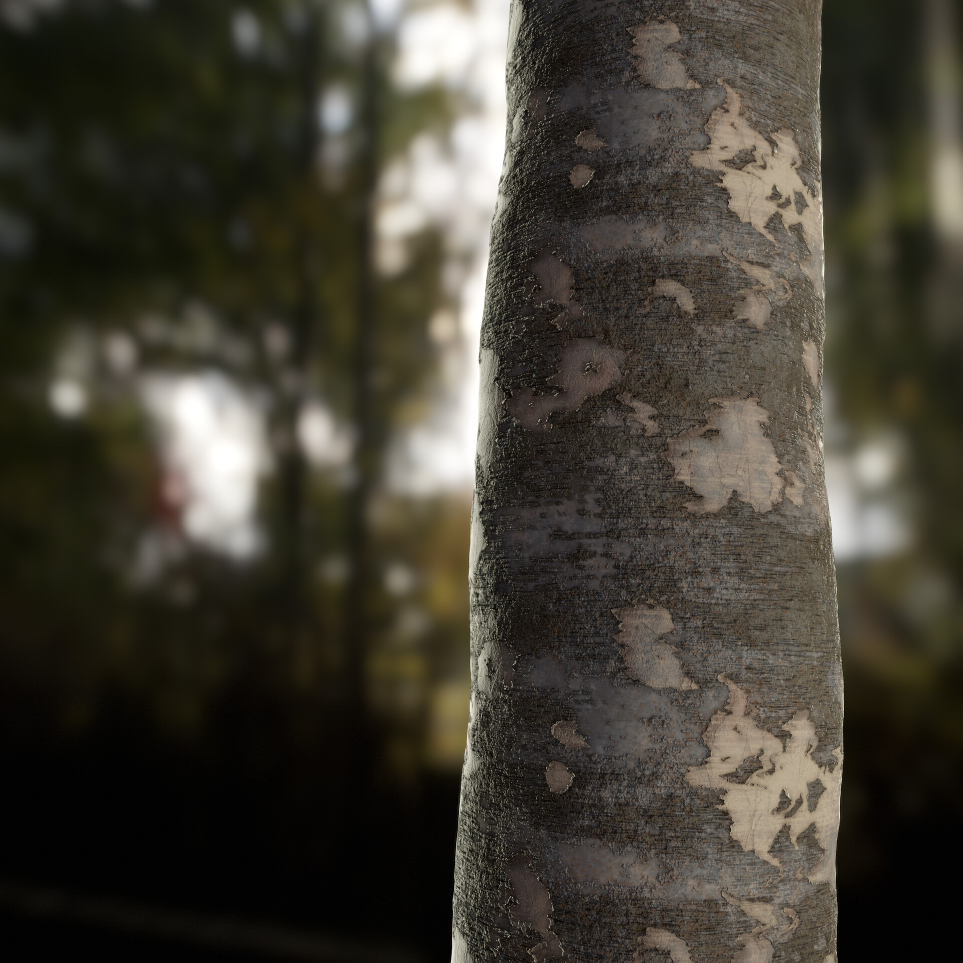 ArtStation - Sycamore Tree Bark Material