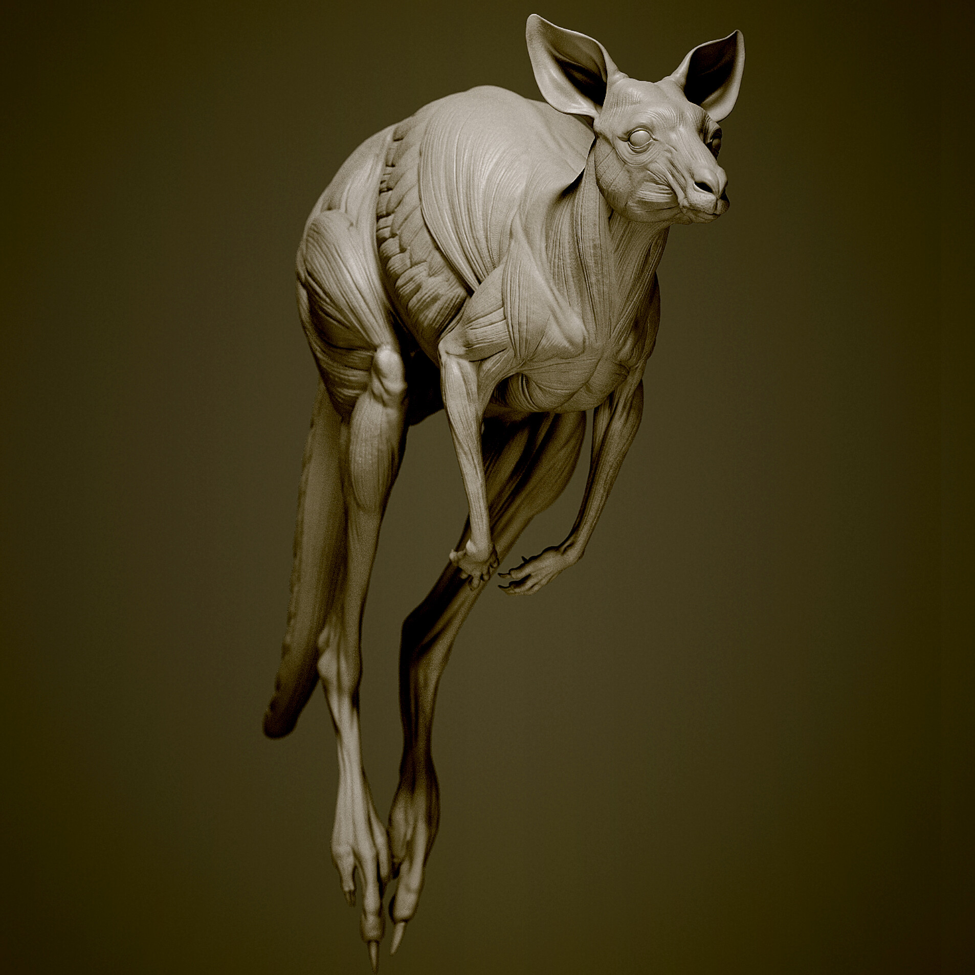 ArtStation - Eastern Grey Kanagroo