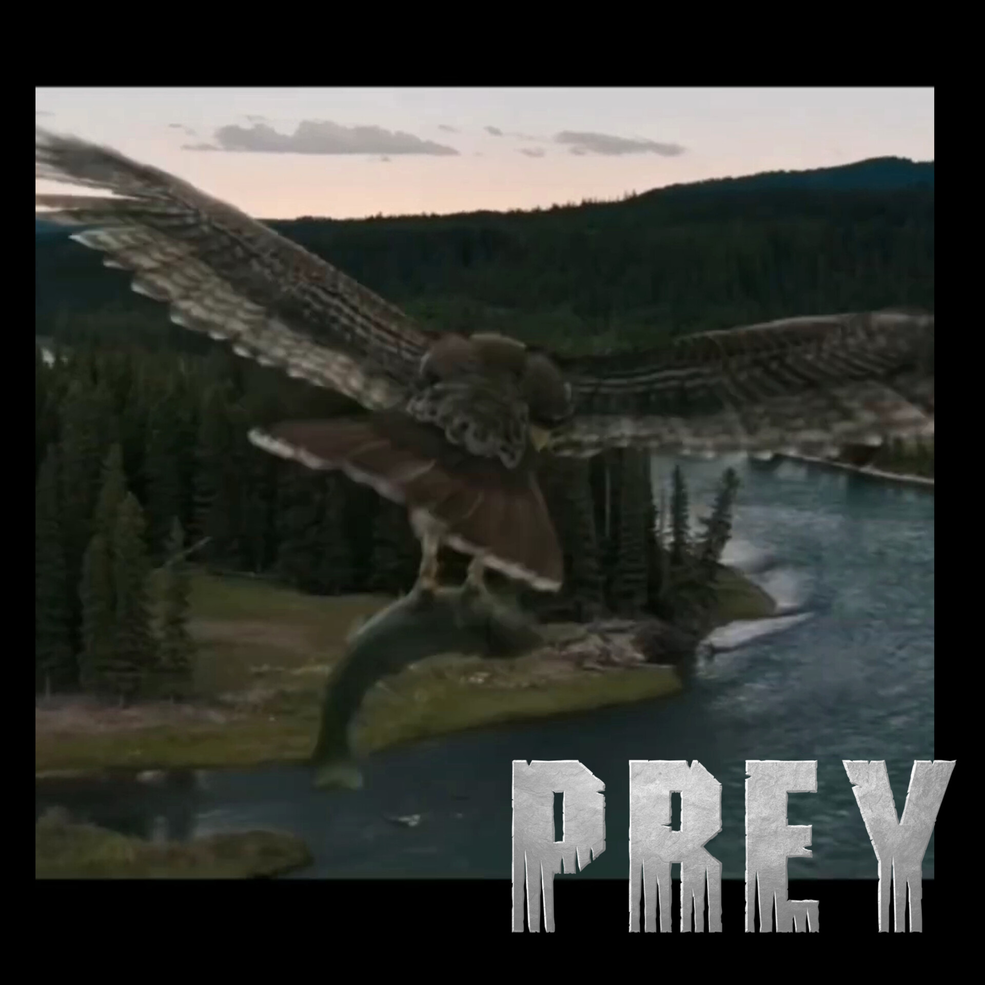 ArtStation - Red Tailed Hawk - Prey (2022)