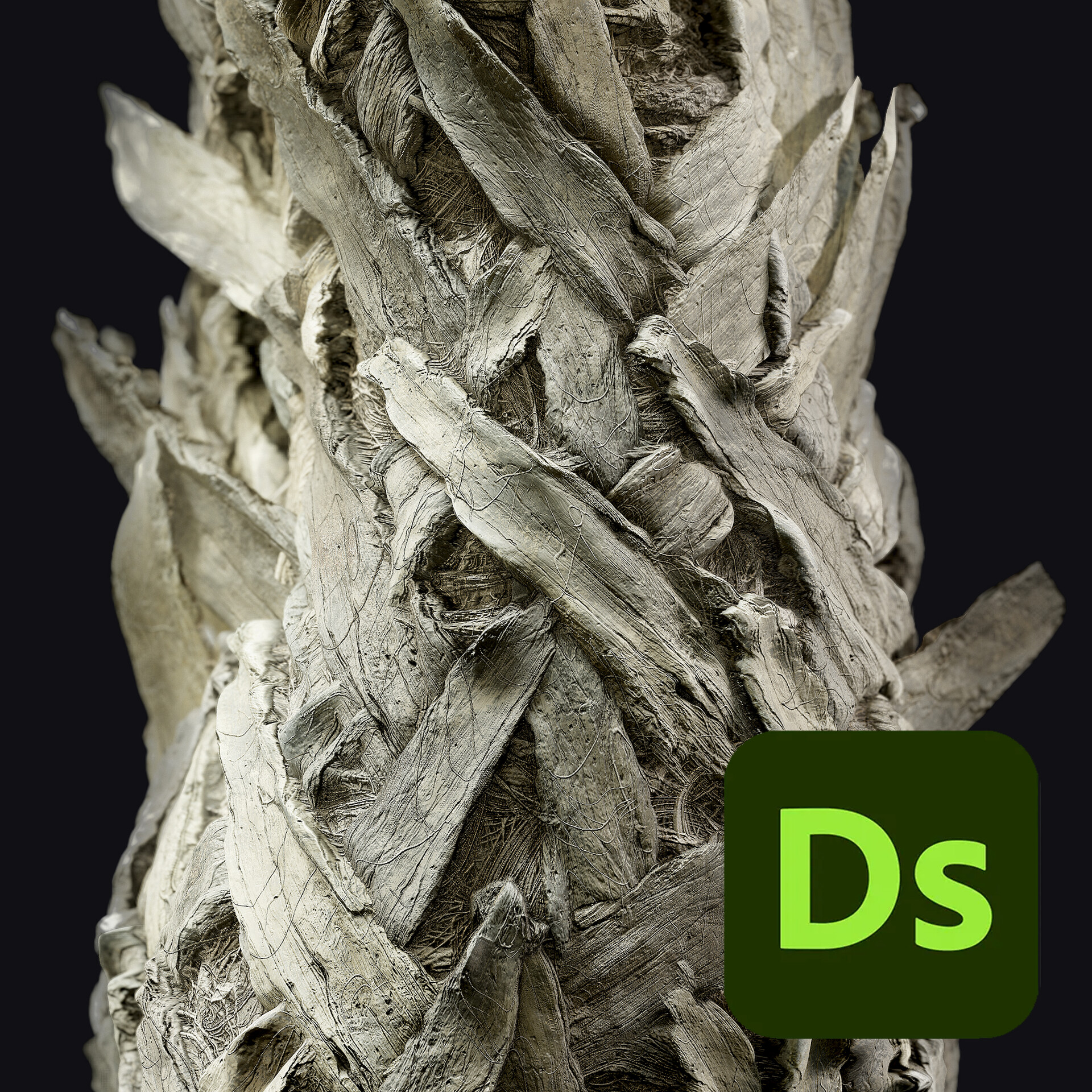 ArtStation - Palm Tree Study