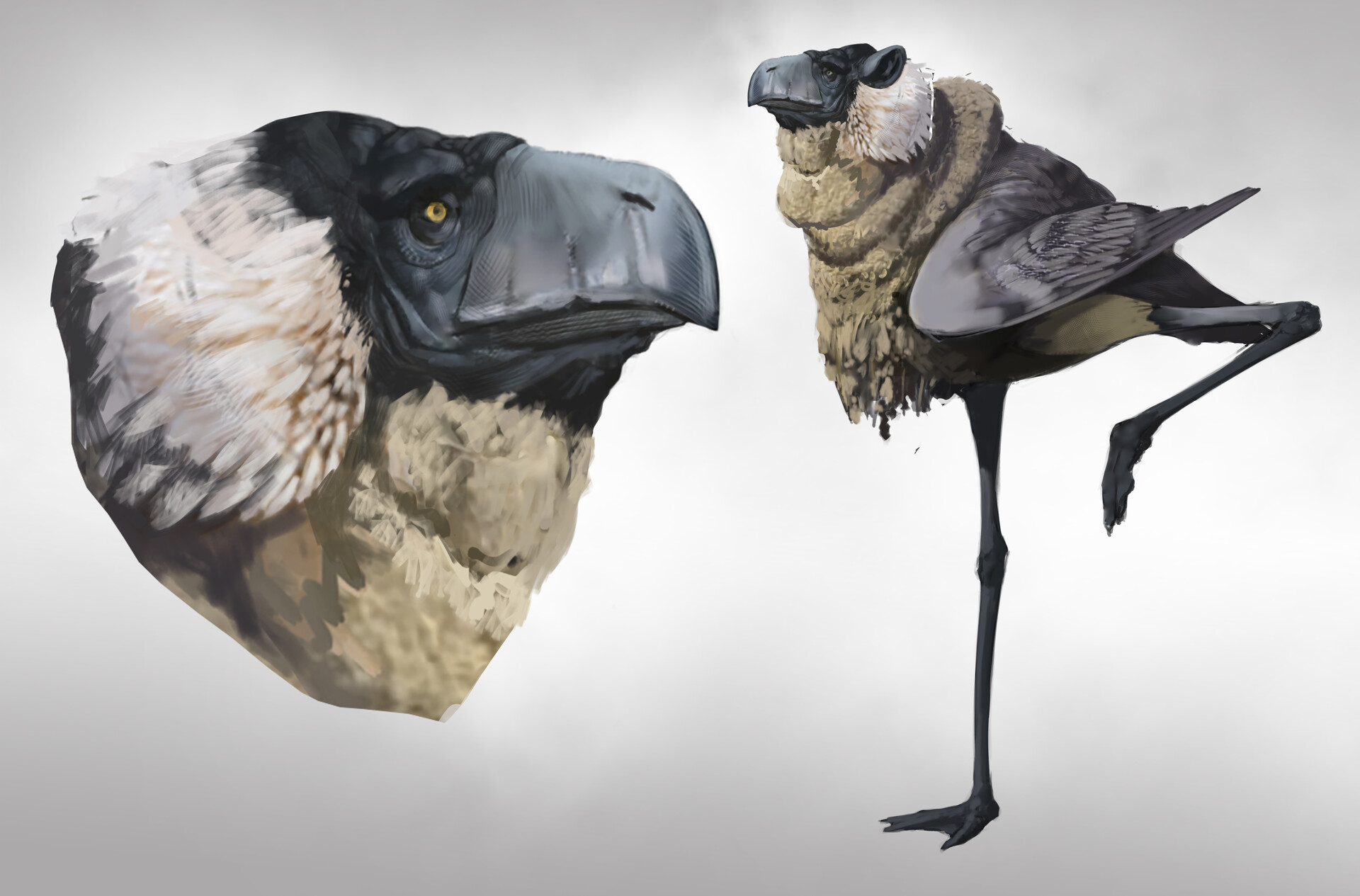 ArtStation - Artic creature design