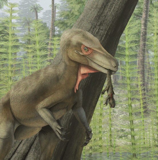 ArtStation - Start of a New Age - Santa Maria Formation