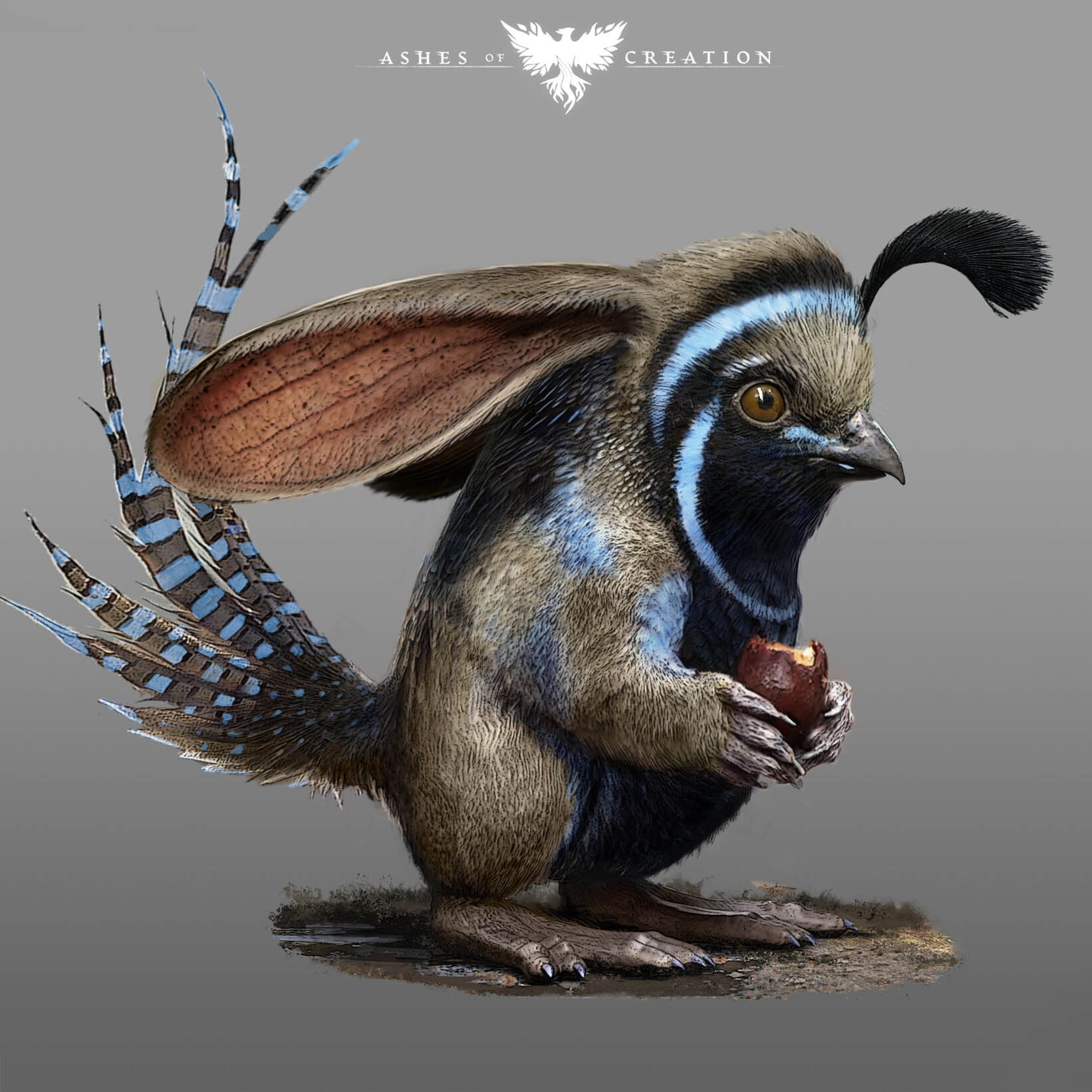 ArtStation - Sage Plumph Companion - Ashes of Creation