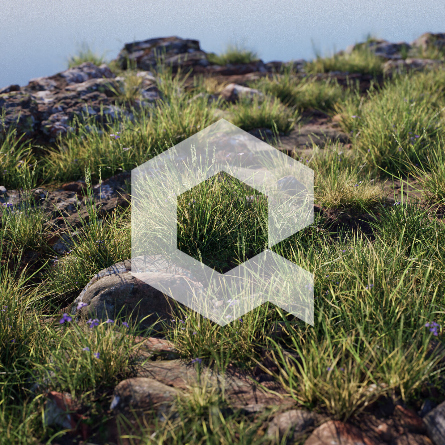 ArtStation - Quixel Megascans - Wild Grass