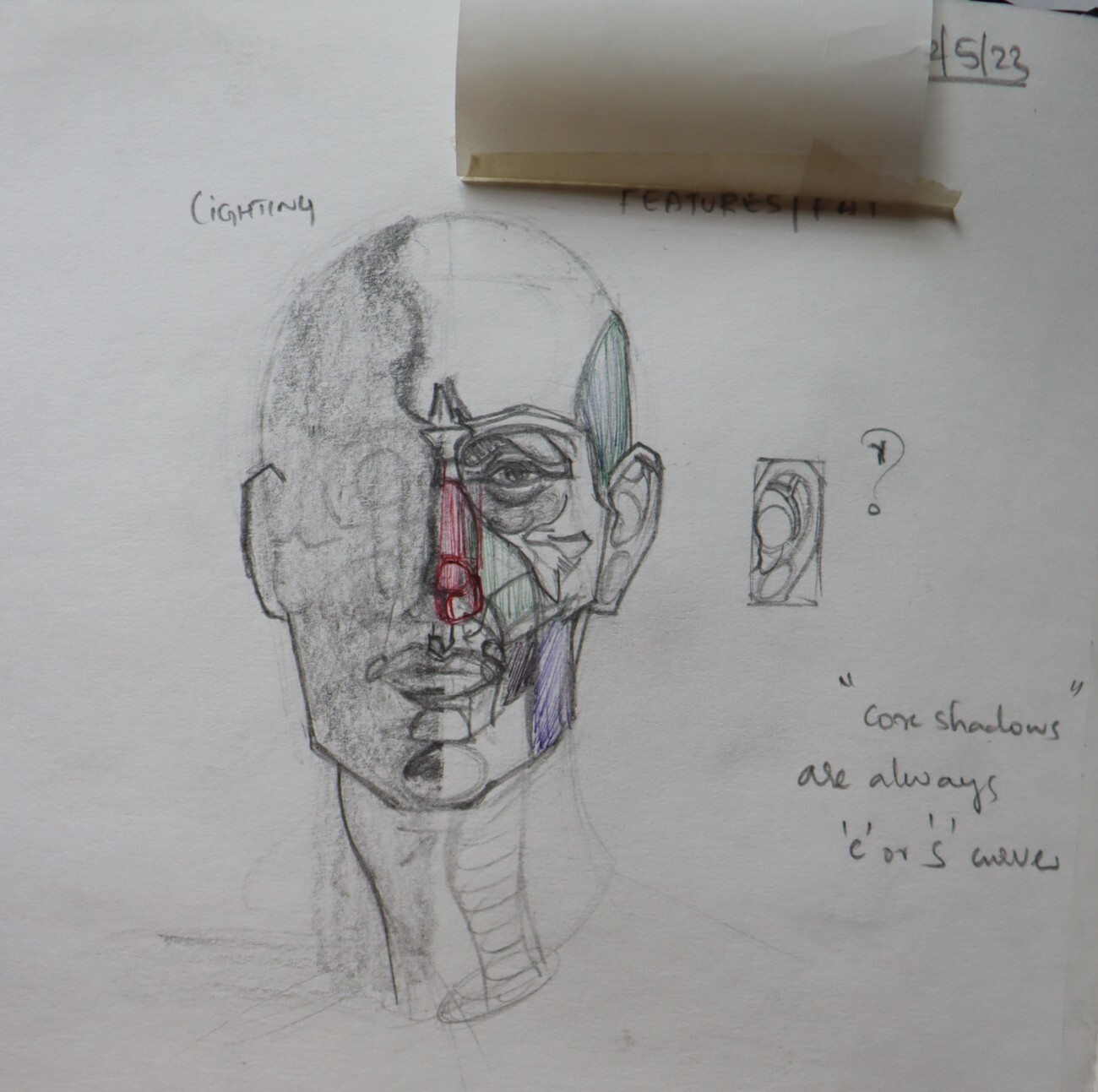 ArtStation - head structure practice