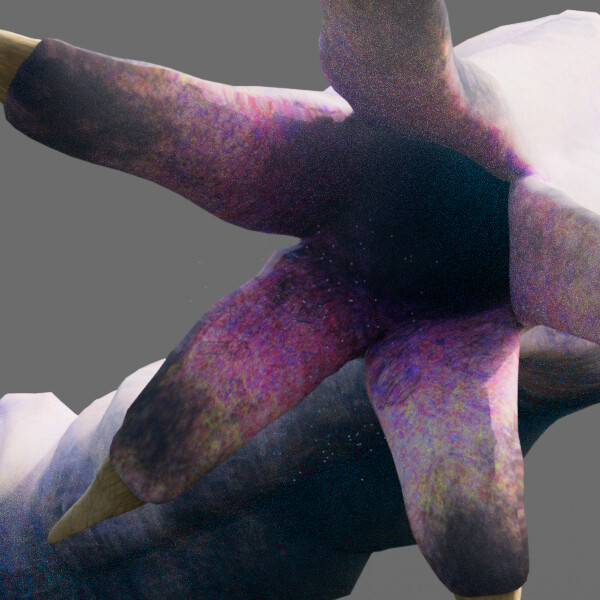 ArtStation - Worm Creature