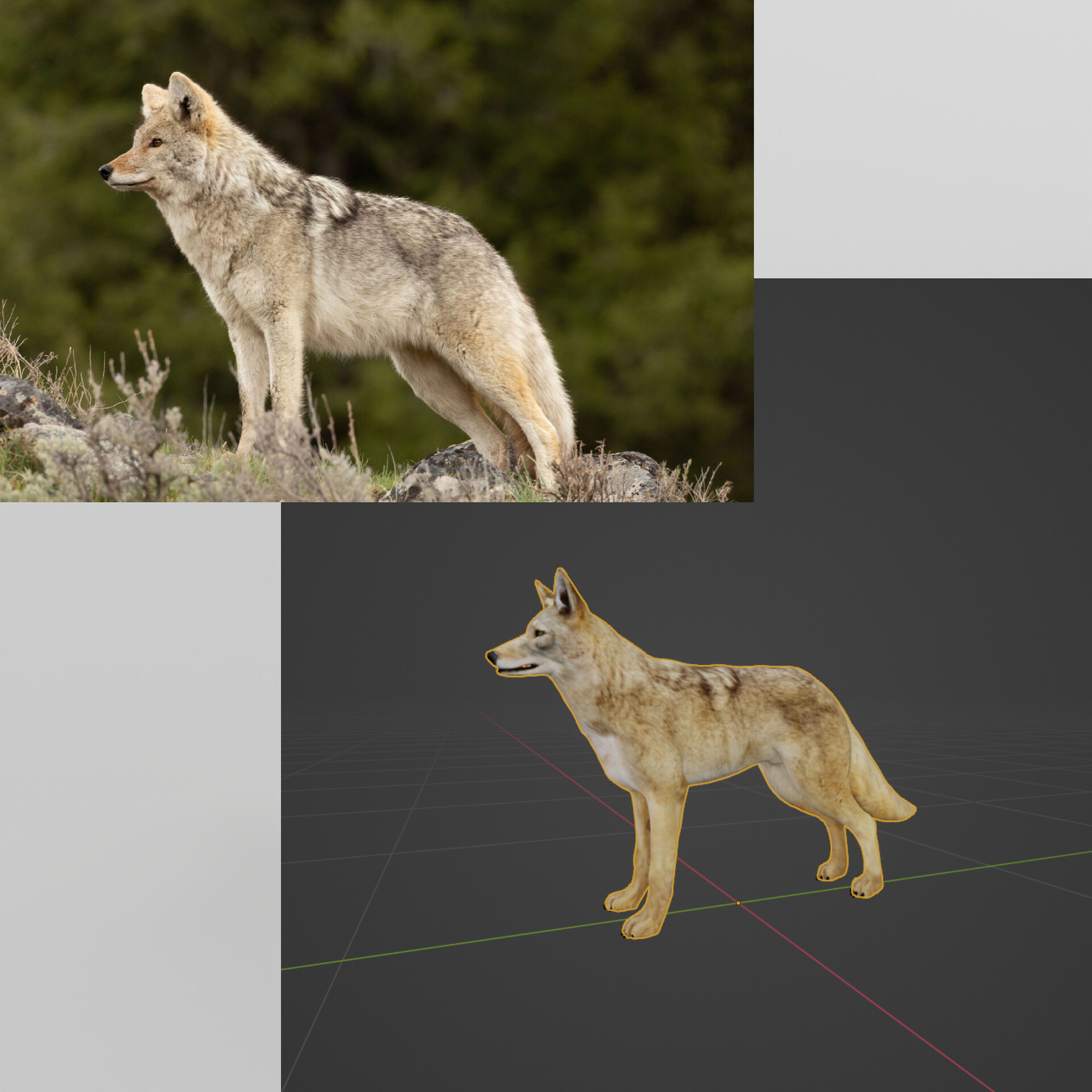 ArtStation - Coywolf