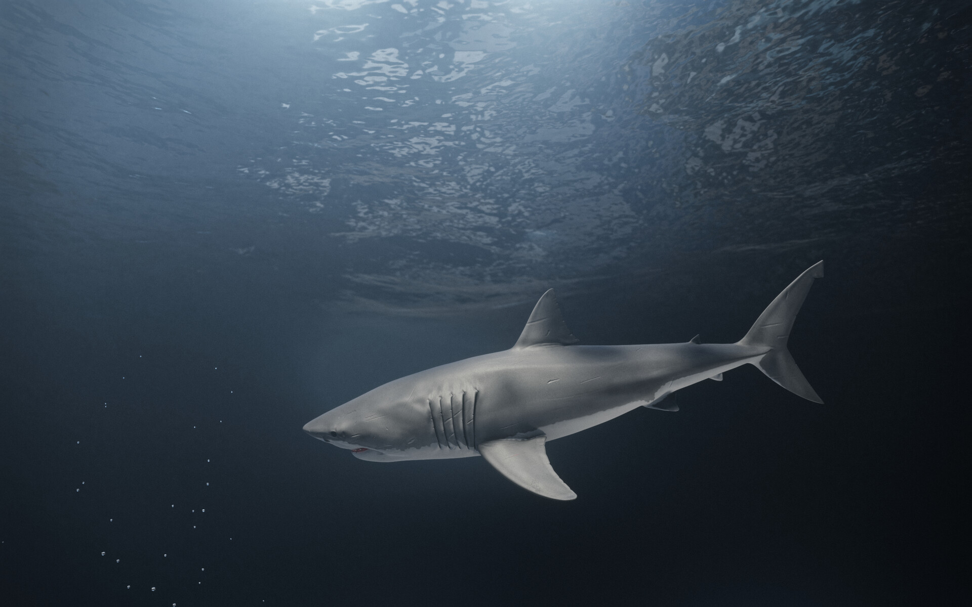 ArtStation - The World of Sharks