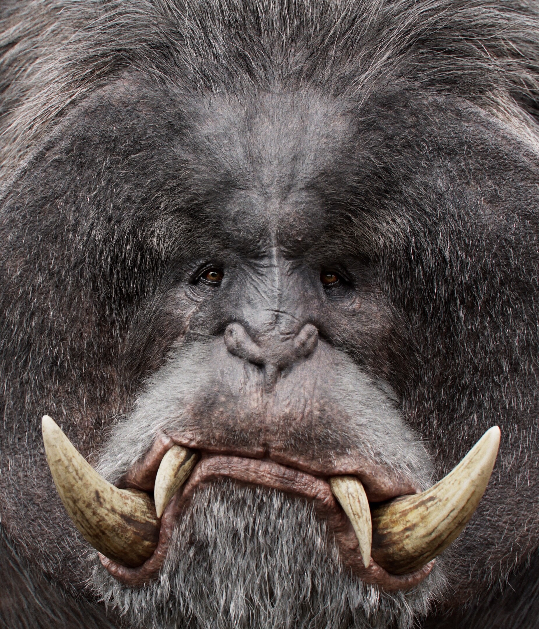 ArtStation - Big Ape