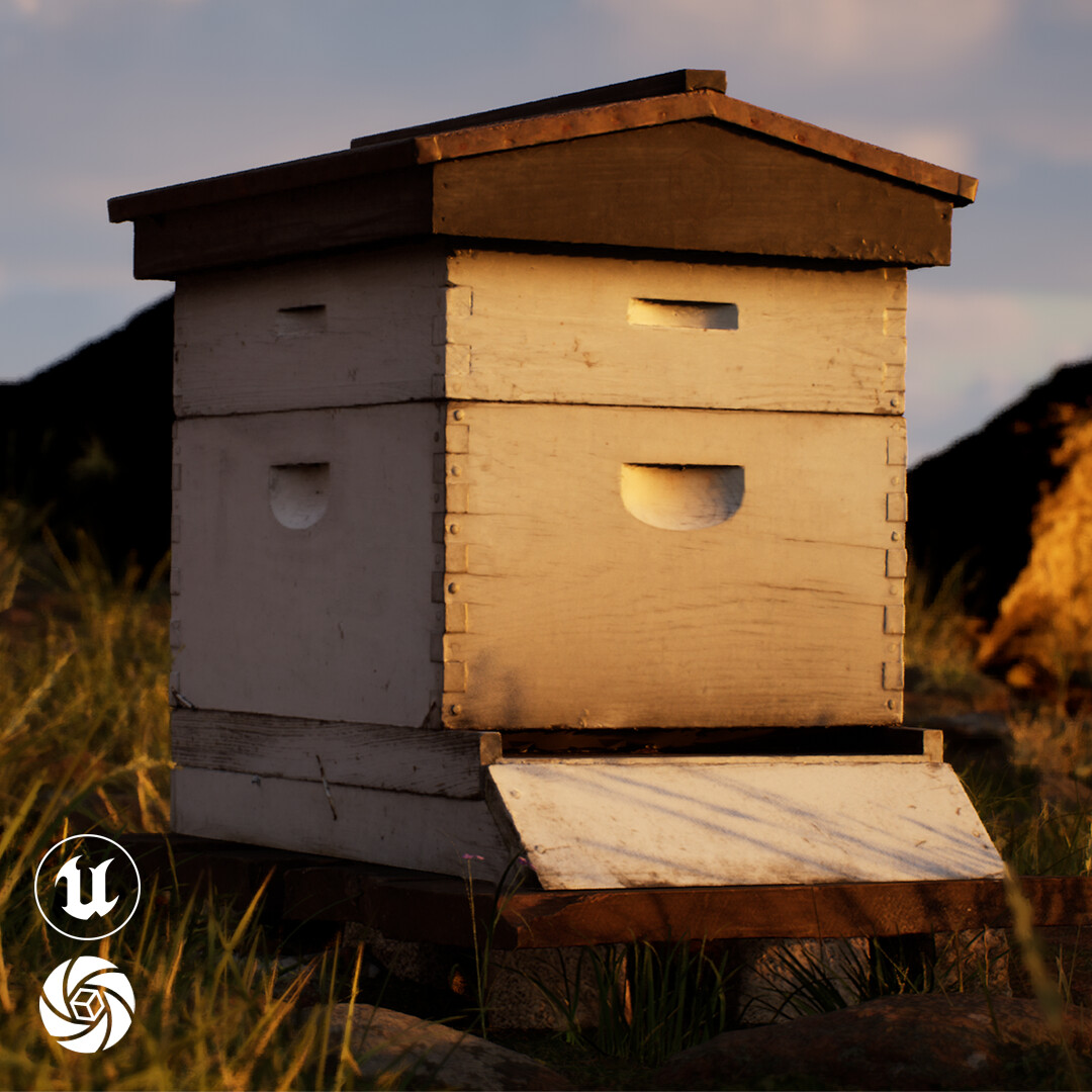 ArtStation - Beehive Photogrammetry Cinematic