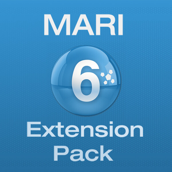 ArtStation - MARI Extension Pack 6