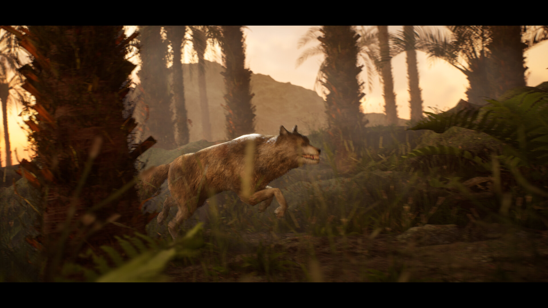 ArtStation - Wolf