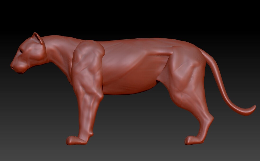 ArtStation - Tiger Sculpt Progress