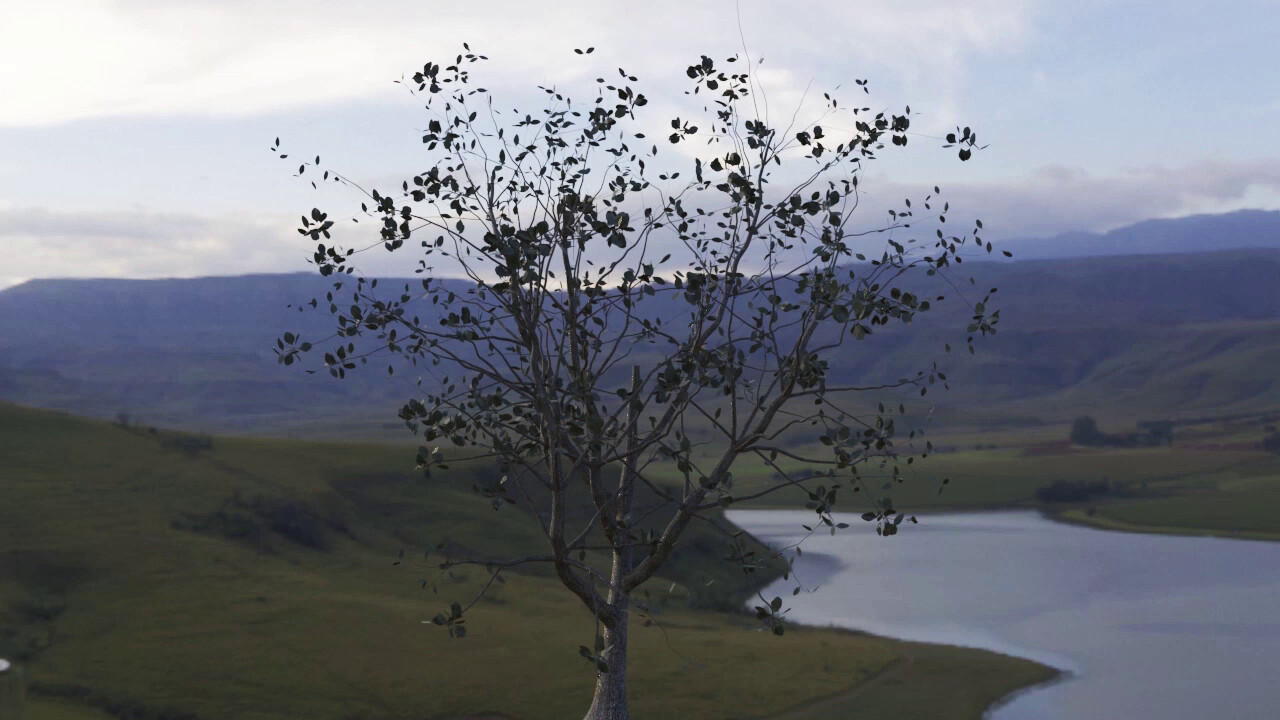 ArtStation - 3D tree motion