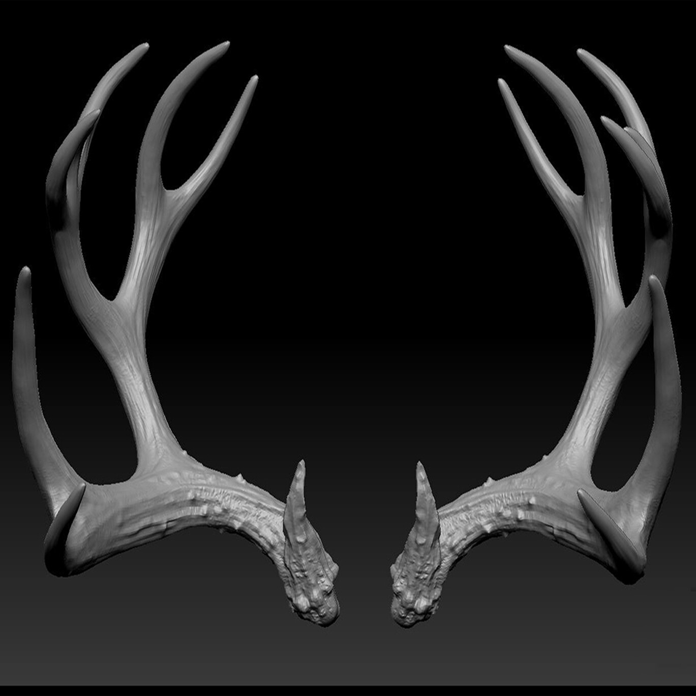 ArtStation - Antlers