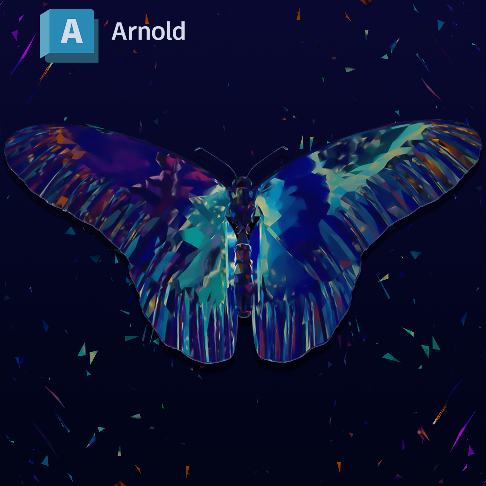 ArtStation - Metamorphosis