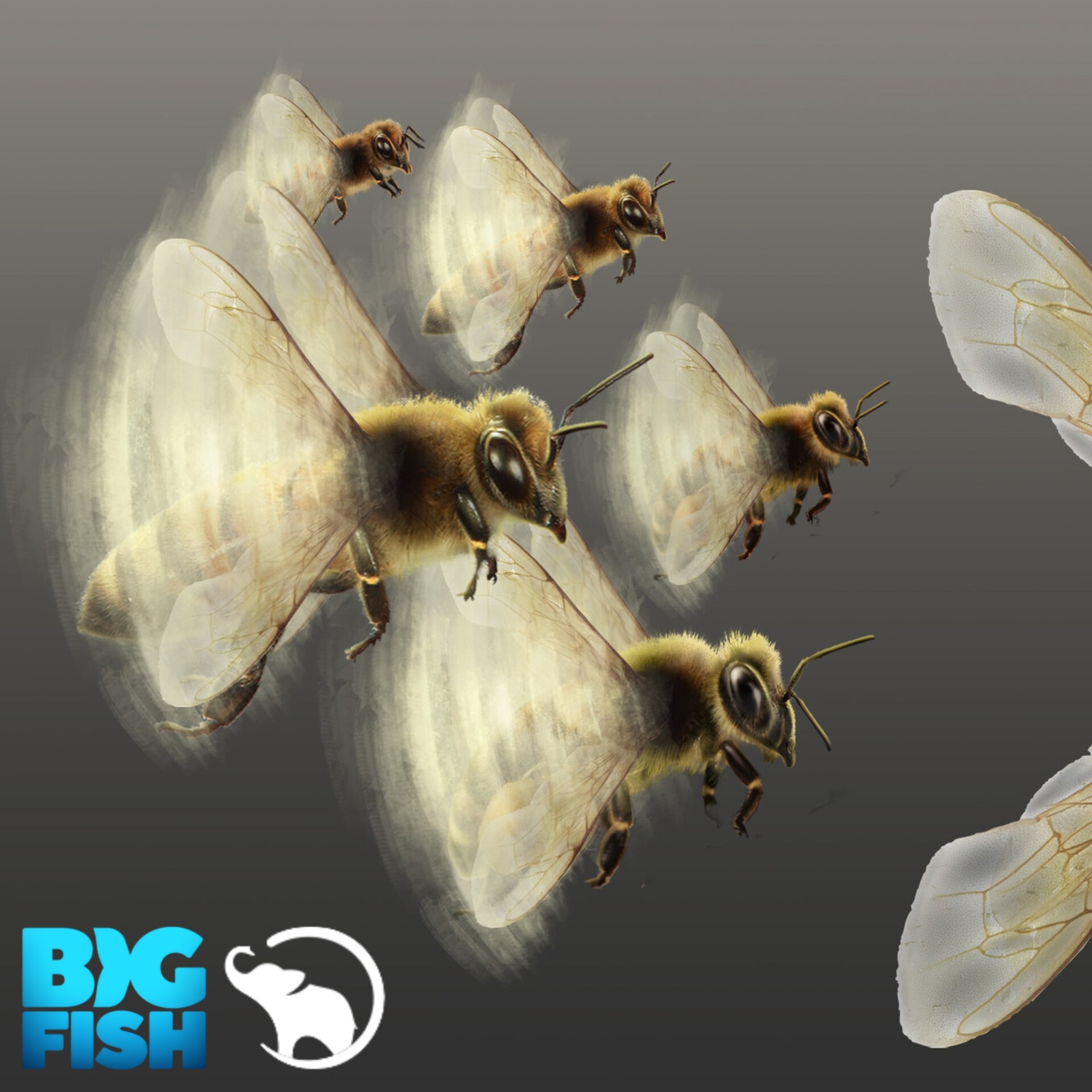 ArtStation - Bees for animation