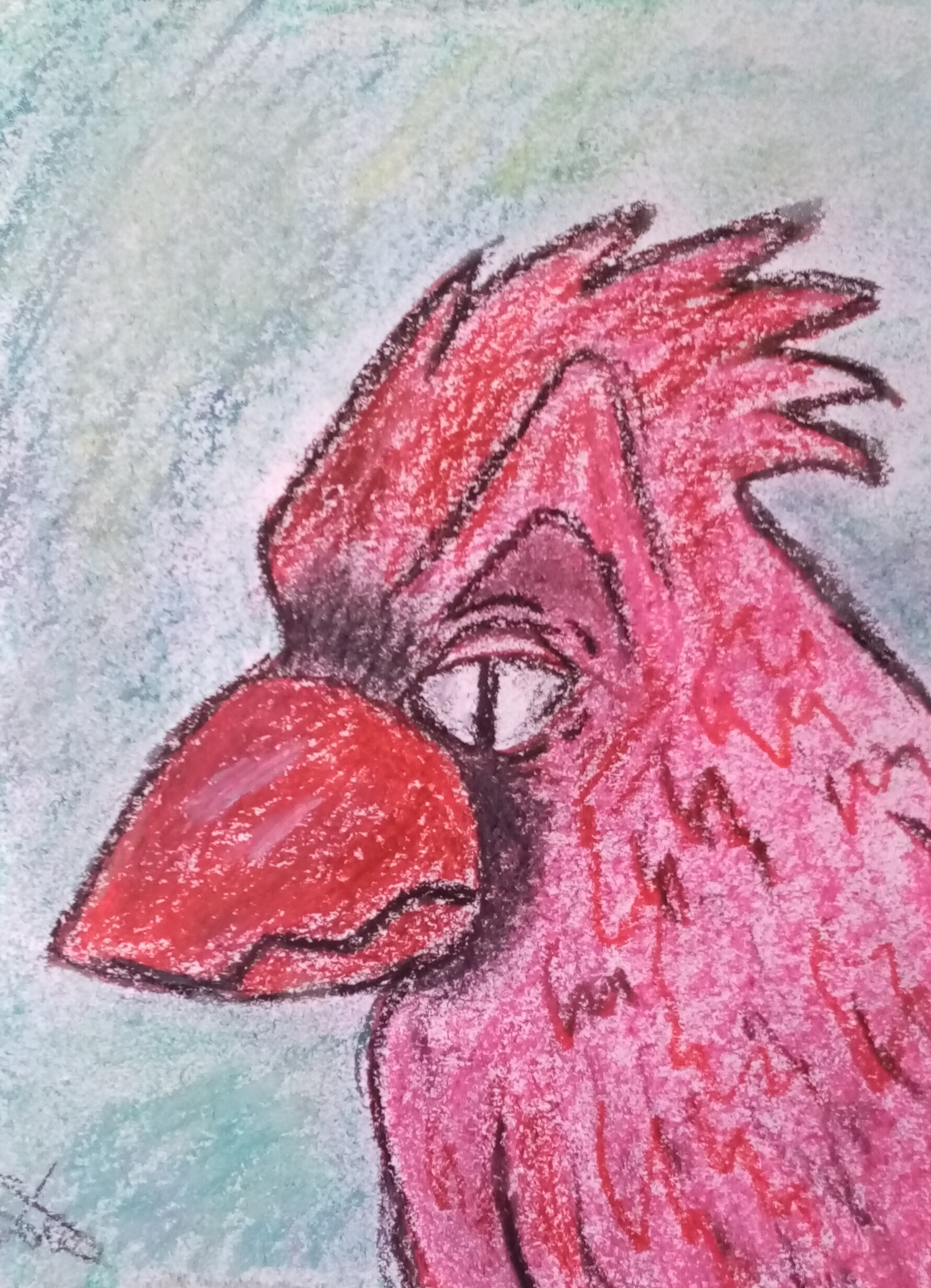 ArtStation - The Red Cardinal