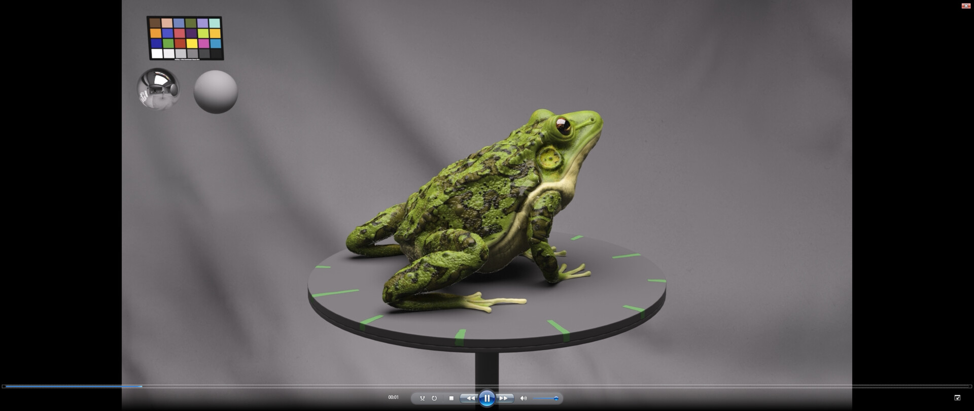 ArtStation - Frog/Toad Hybrid