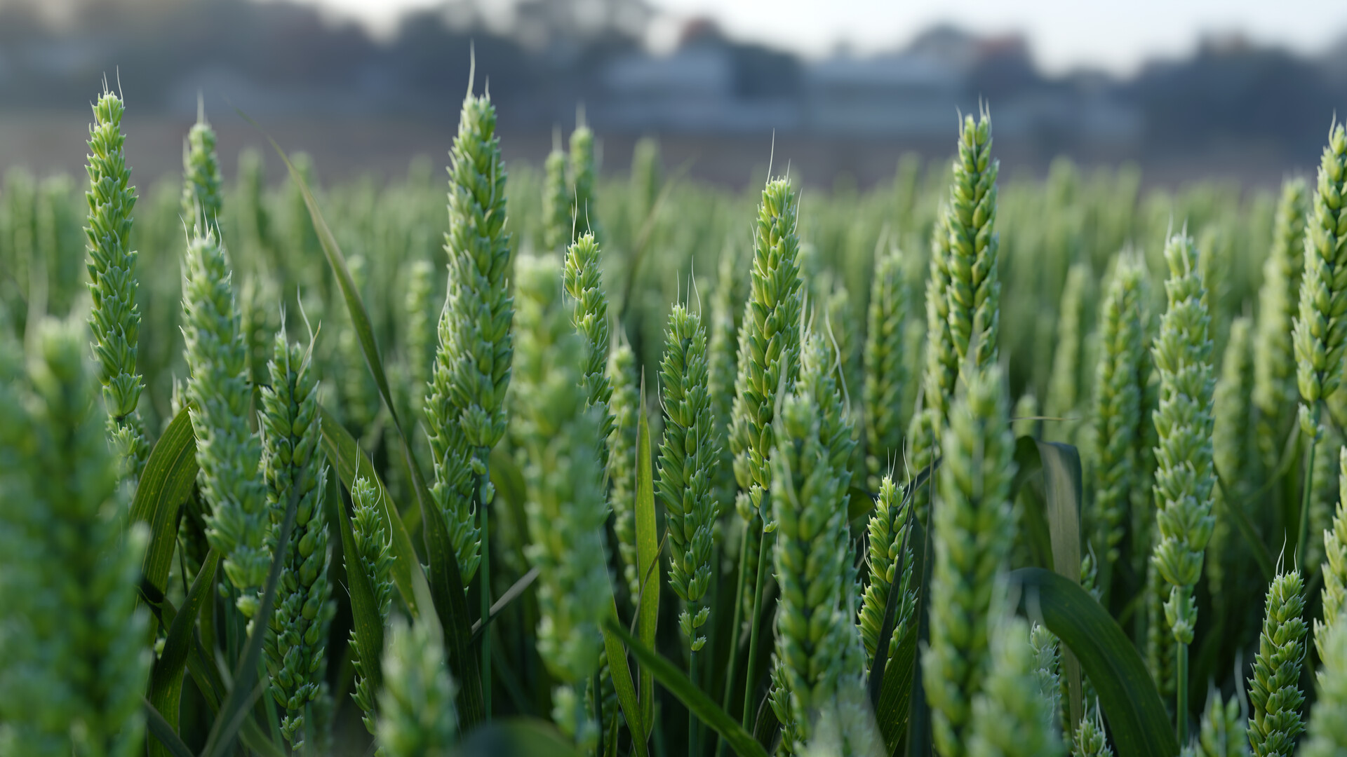 ArtStation - 3D Crops Collection - Textures.com