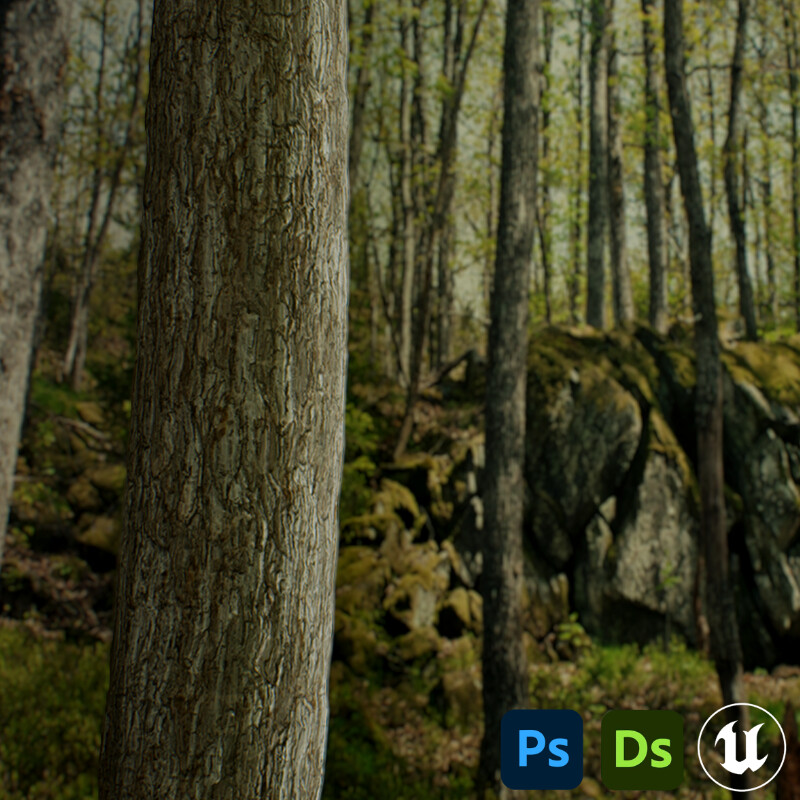 ArtStation - Tree-bark case study