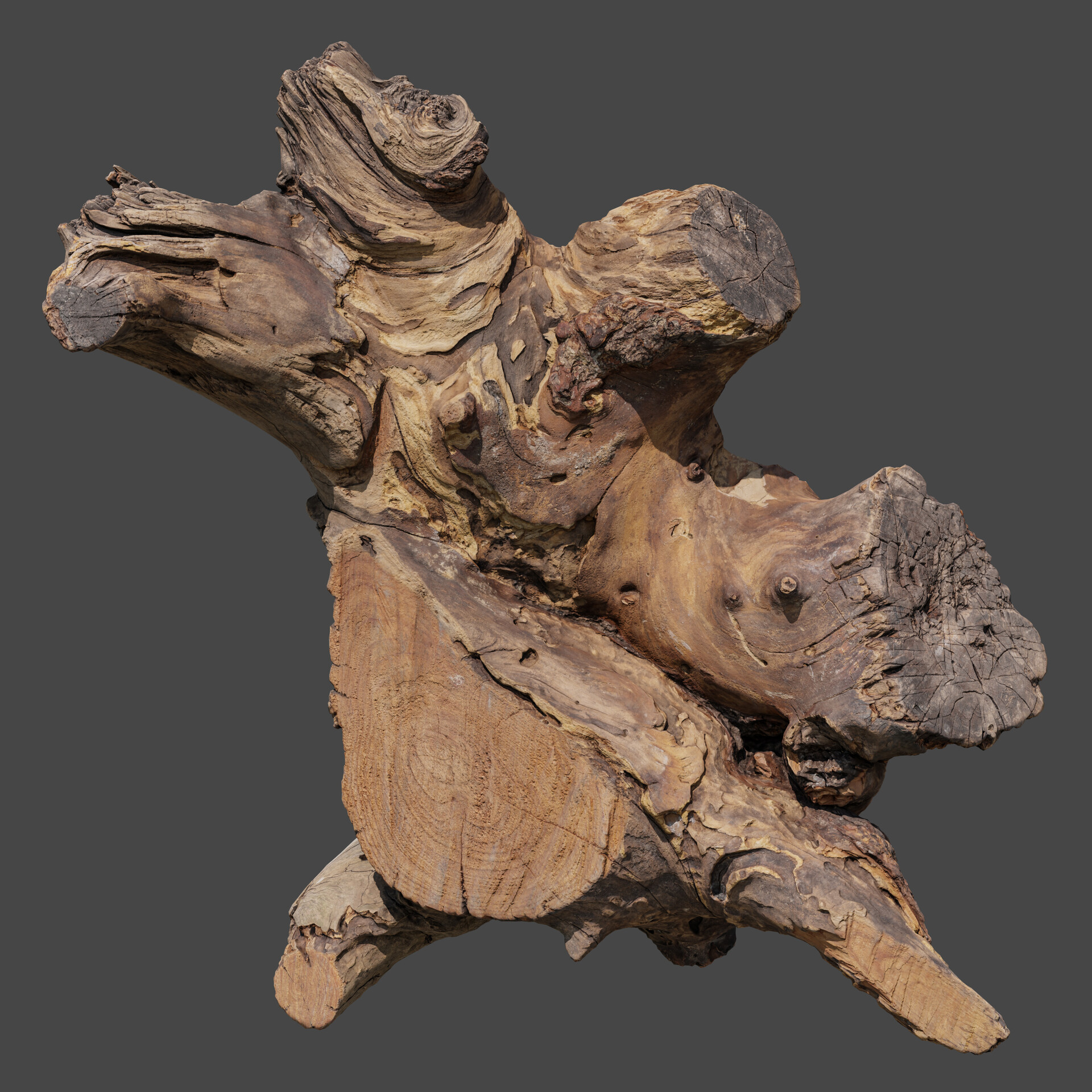 ArtStation - Pine Slab scan